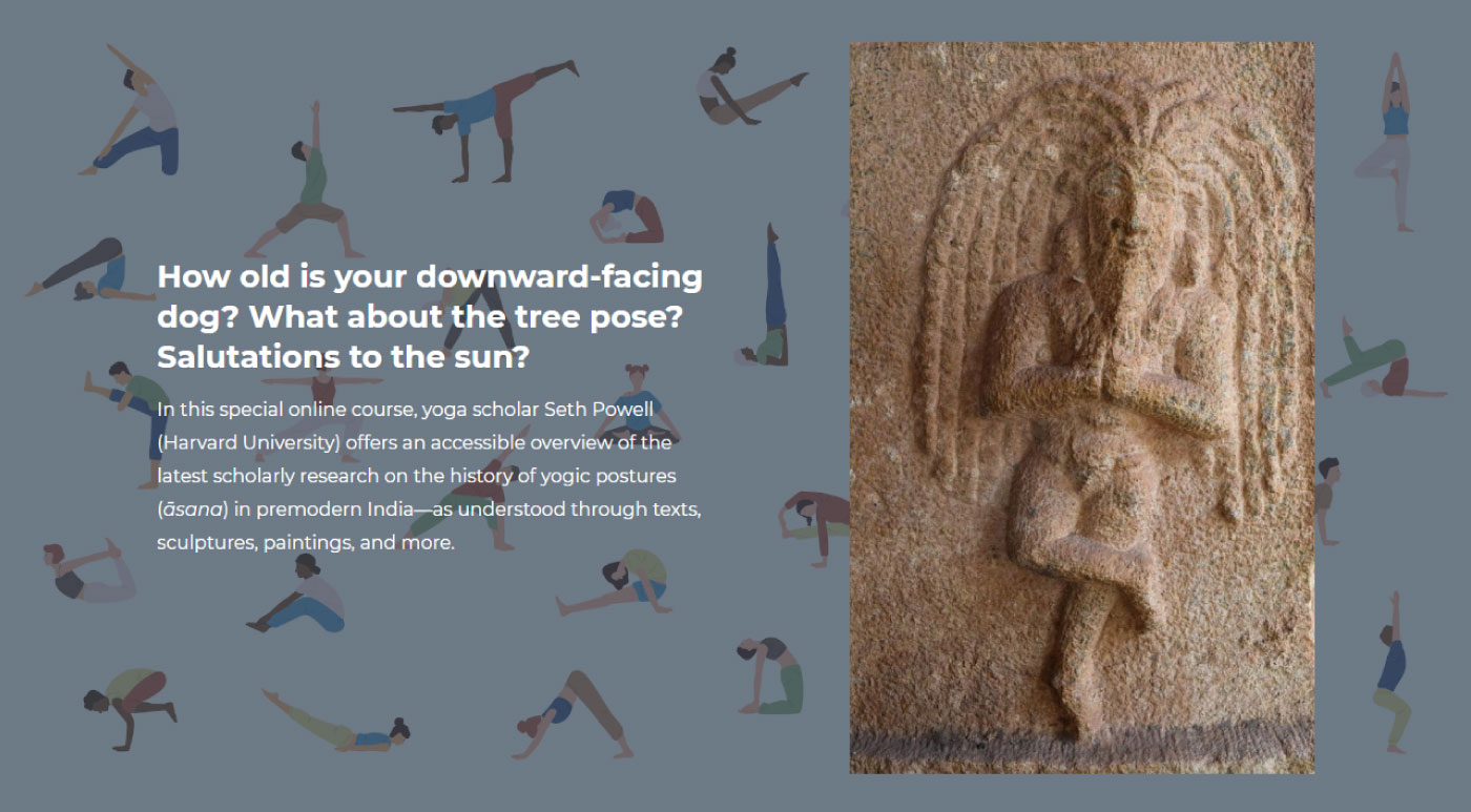 30 Best Online Courses for Yoga - Online Course Report